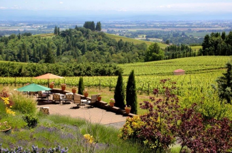 Black Walnut Inn & Vineyard - Dundee, Oregon Bed and Breakfast - Unique ...